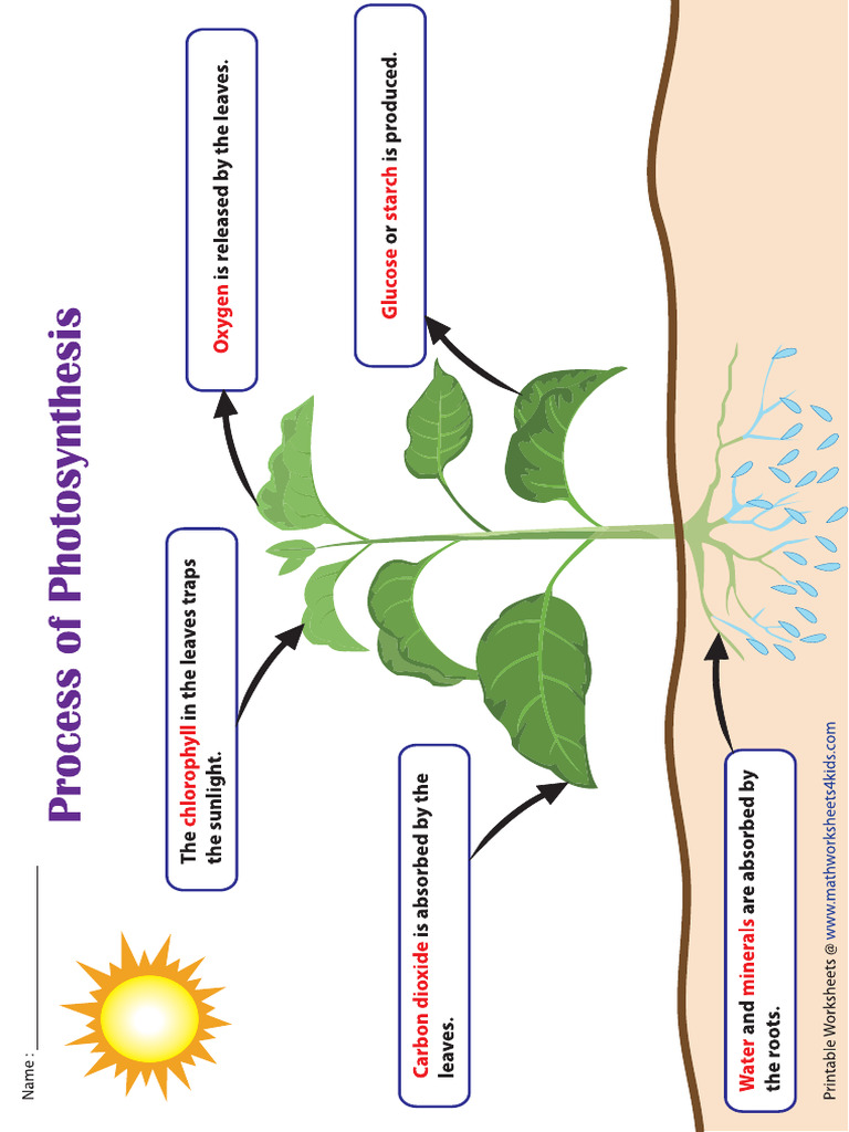 Process Description Chart | PDF
