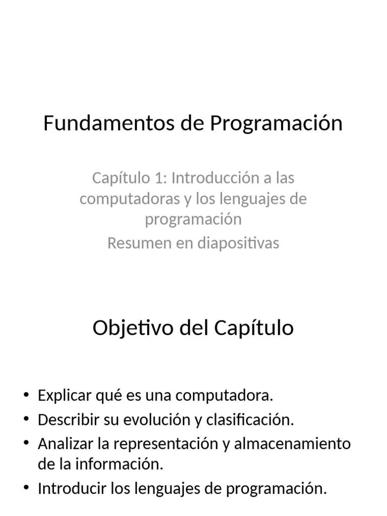 Resumen Capitulo 1 Fundamentos Programacion | PDF | Hardware de la computadora | Programación de ...
