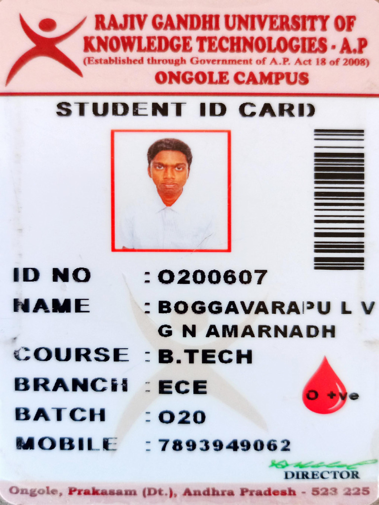 Identity Cards | PDF