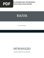 Ficha Antirrabica Preenchivel 27112020 | PDF | Raiva | Sistema de saúde