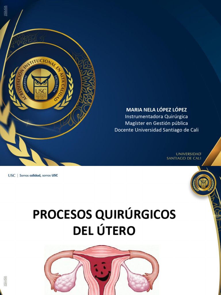Procesos Quirurgicos en El Utero | PDF | Útero | Ginecología
