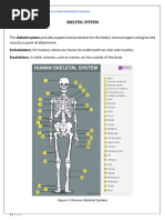 Form 4 Science Textbook Answers | PDF | Atoms | Genetics