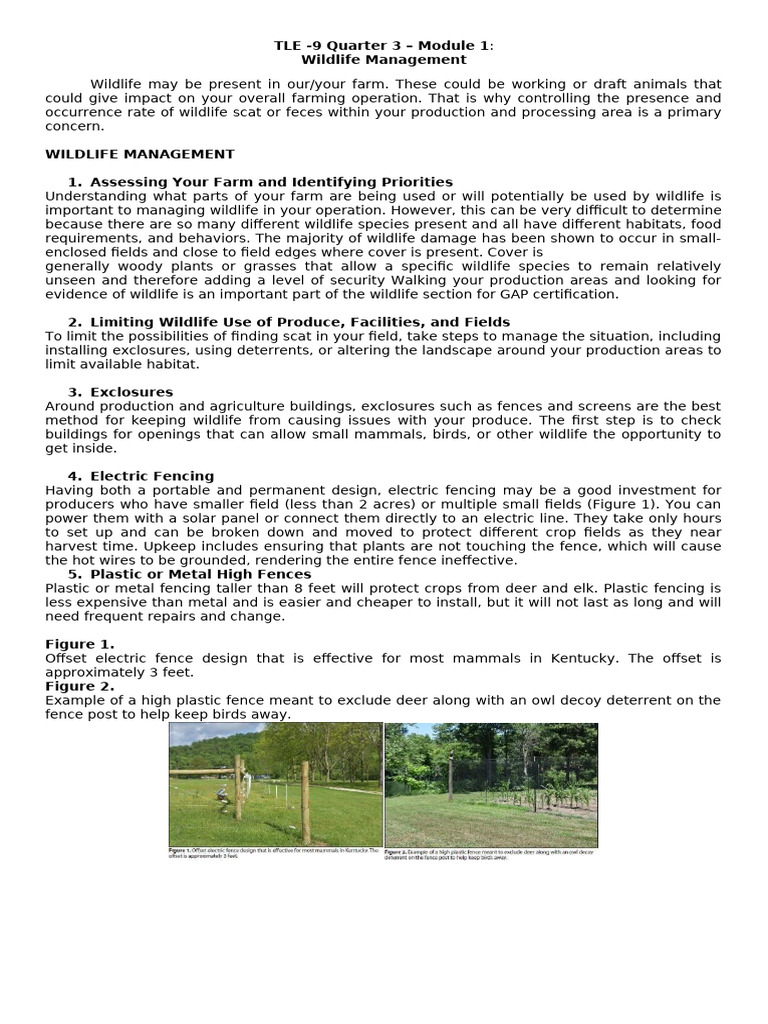 Activity Week 1 | PDF | Wildlife | Feces