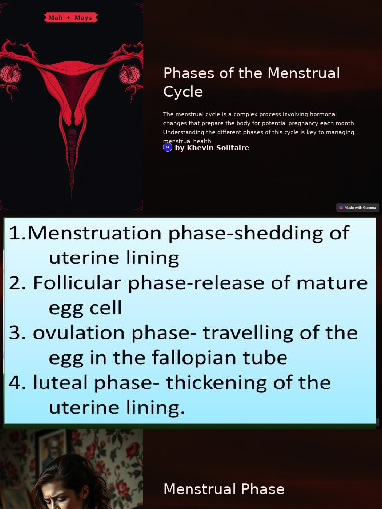 Phases of The Menstrual Cycle | PDF | Menstrual Cycle | Sexual Anatomy