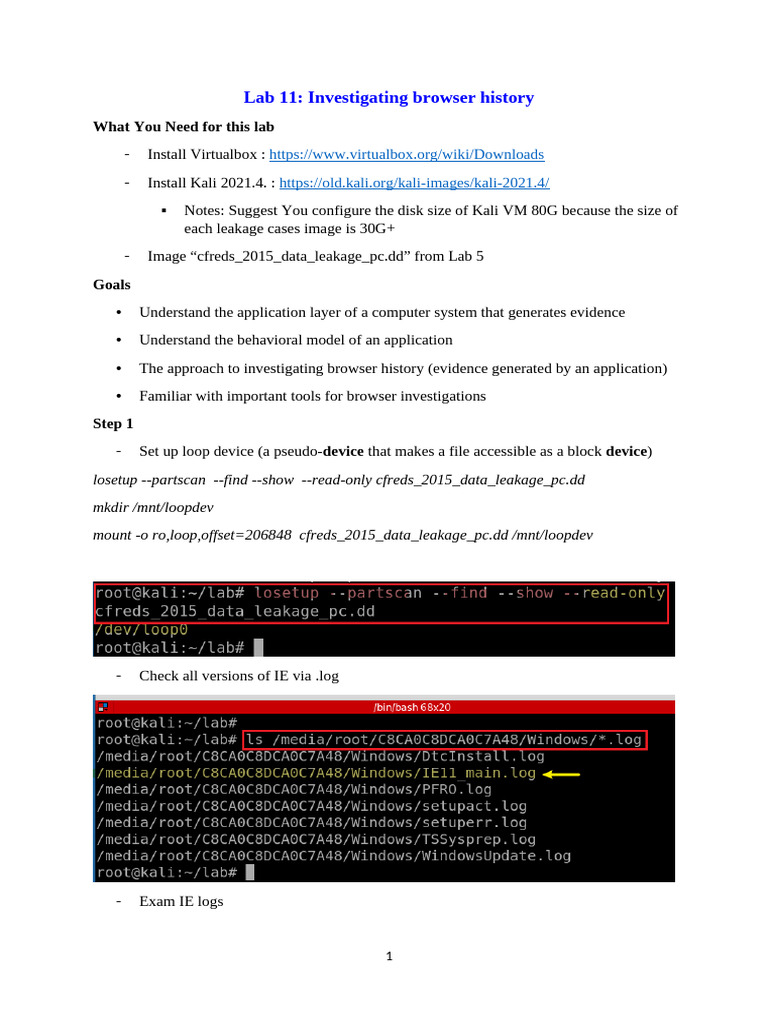 Browser History Investigation Lab 11 | PDF | Computer File | Computer ...