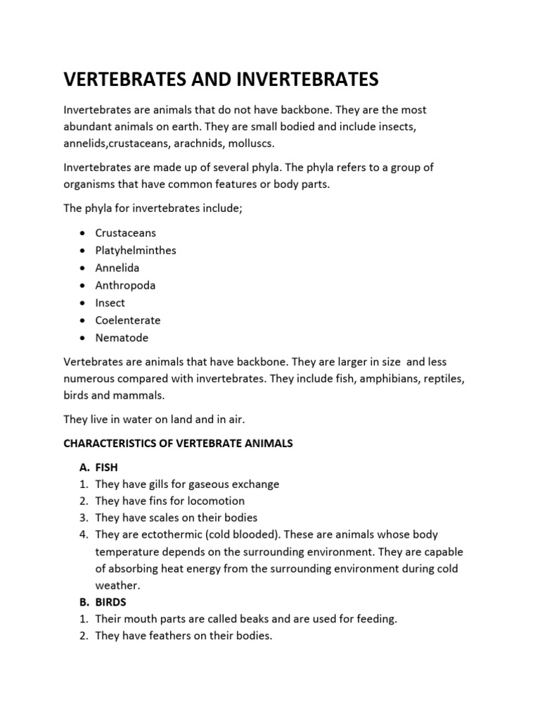 Vertebrates and Invertebrates - 031109 | PDF | Invertebrate | Animal ...