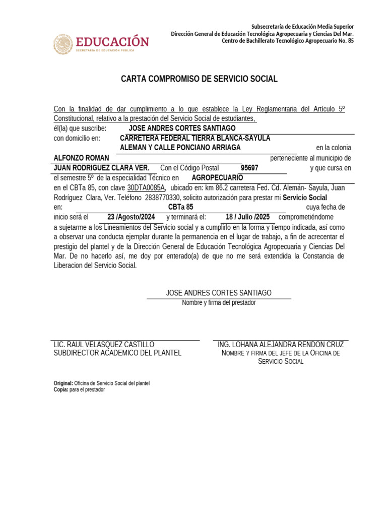 Carta Compromiso Servicio Social | PDF