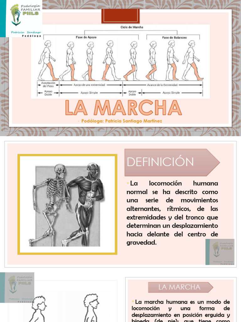 Análisis de la Marcha Humana y sus Fases | PDF | Pie | Tobillo