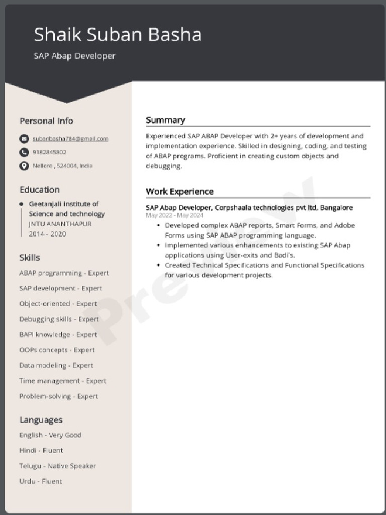 sAP CV | PDF