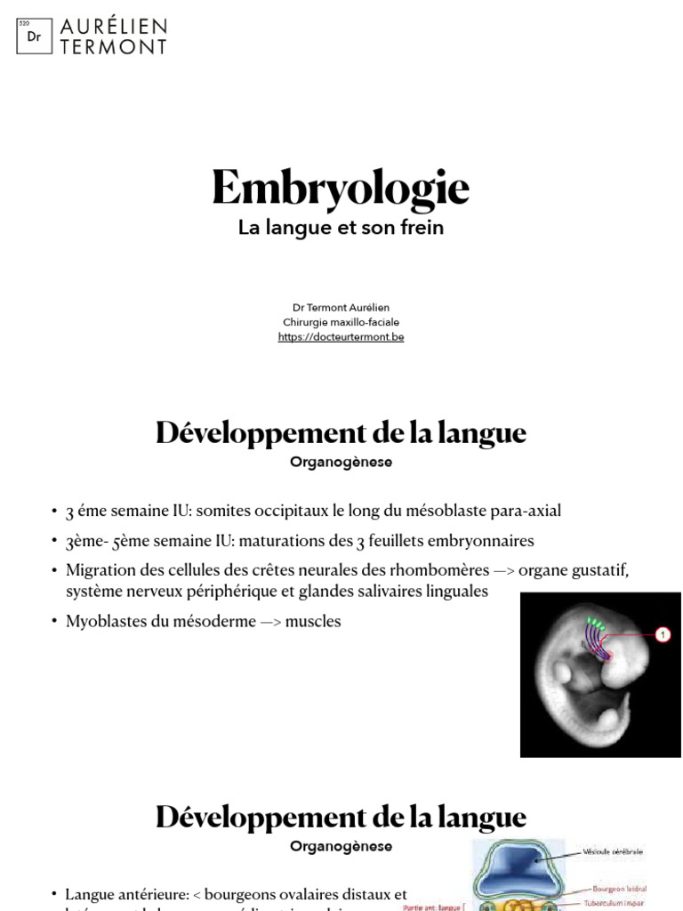 Développement et chirurgie du frein lingual | PDF | Langue | Biologie ...