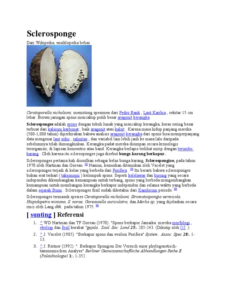 Sclerosponge | PDF