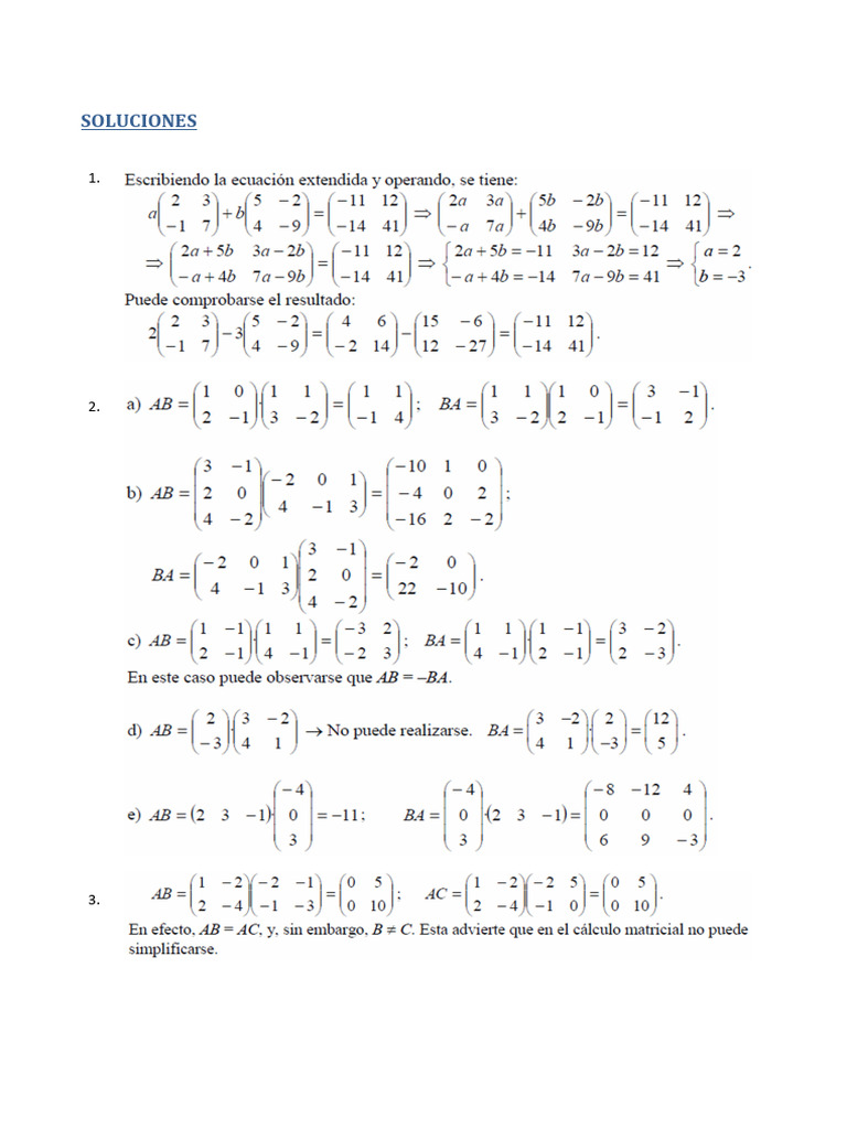 Ficha2 Matrices Soluciones | PDF