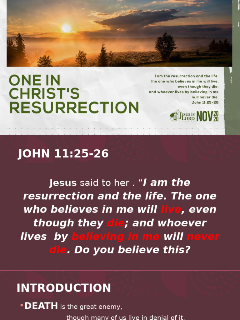 The Fall and Rise of Lazarus | PDF | Lazarus Of Bethany | Jesus