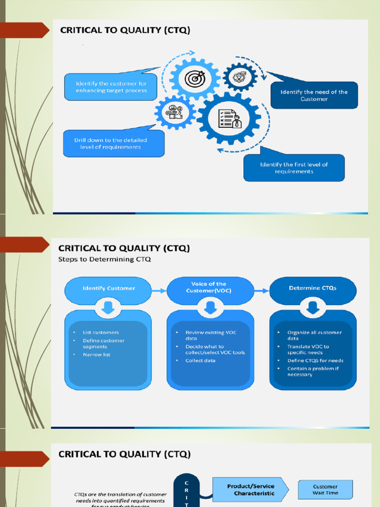 Critical To Quality (CTQ) | PDF
