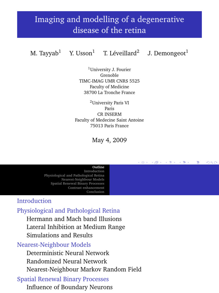 AINA 09 Presentation | PDF | Retina | Contrast (Vision)