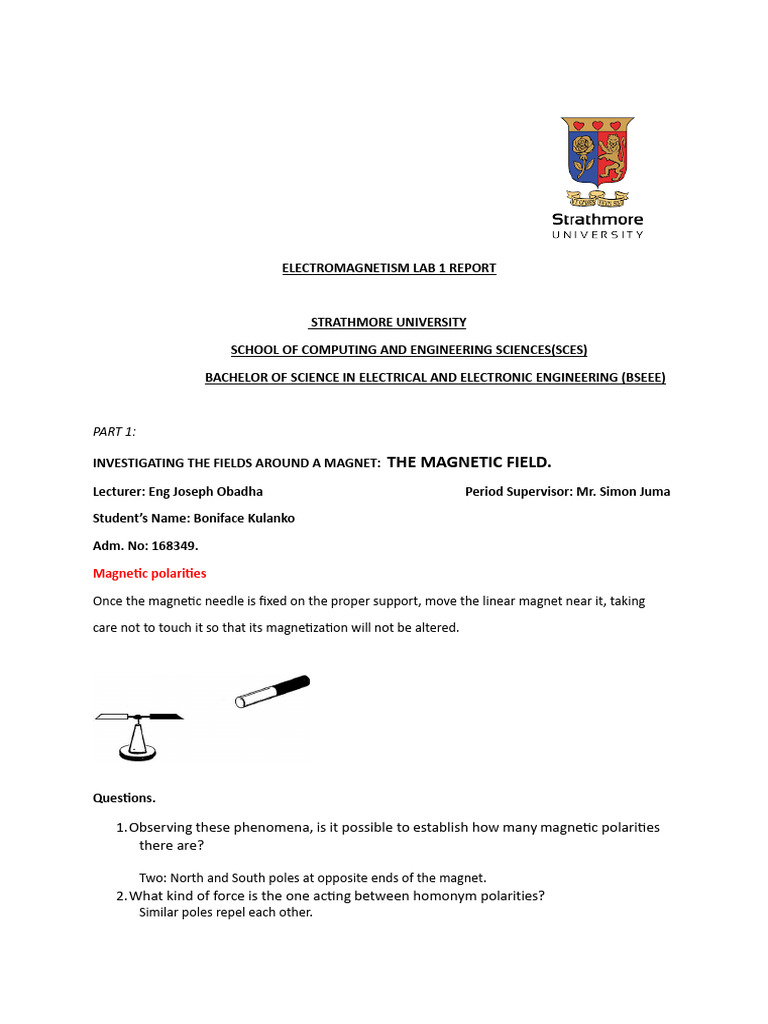 Bseee Electromagnetism Lab 1 | PDF | Magnetic Field | Magnetism