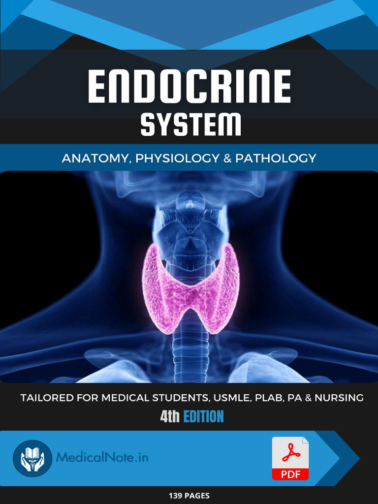 Endocrine System | PDF | Endocrine System | Adrenal Gland