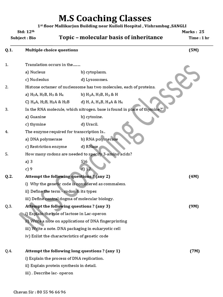Molecular Basis of Inheritance | PDF