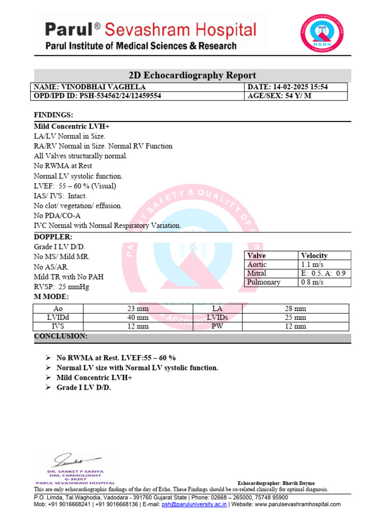 No RWMA Findings in Echocardiogram | PDF