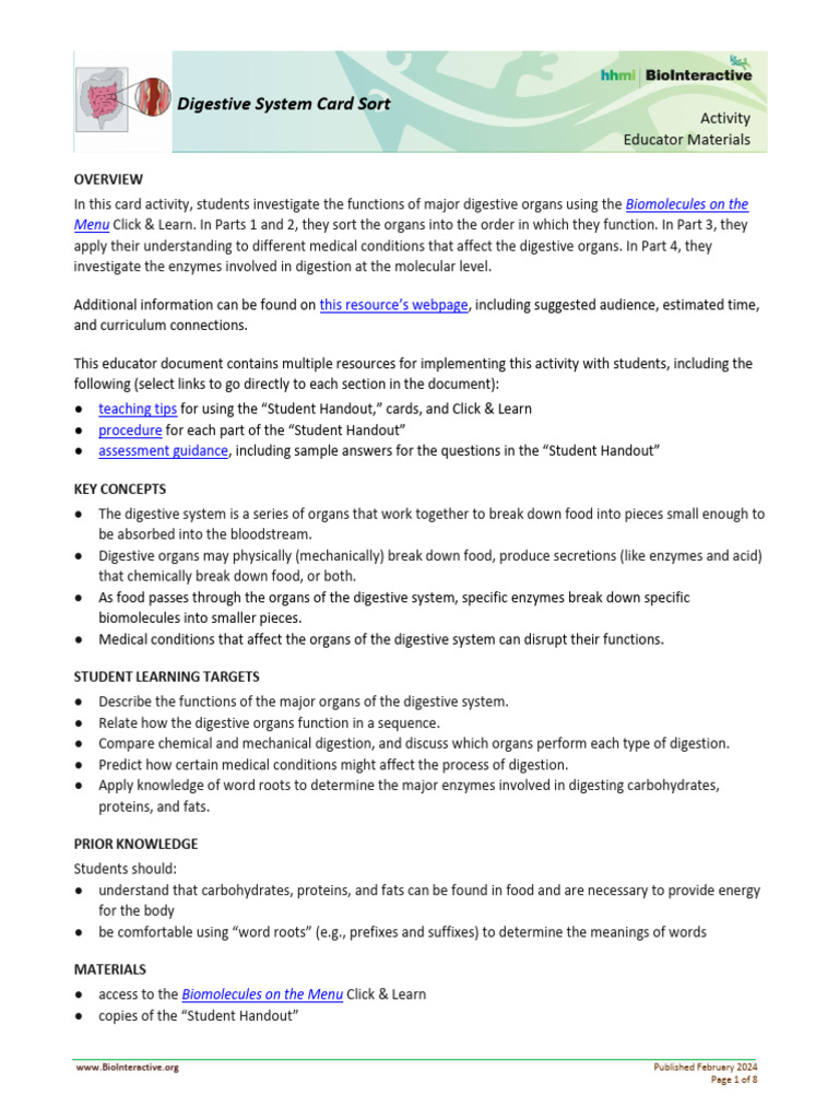 Digestive System Card Sort Activity | PDF | Digestion | Stomach