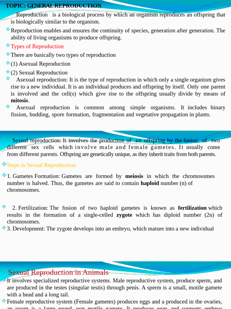 BIO 101 - GENERAL REPRODUCTION | PDF | Sexual Reproduction | Egg
