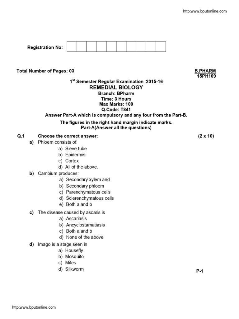Bpharma 1 Sem Remedial Biology 2015 | PDF | Leaf | Plant Stem