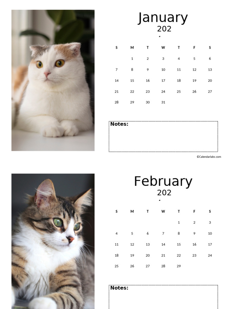 2024 Free Photo Calendar Template | PDF