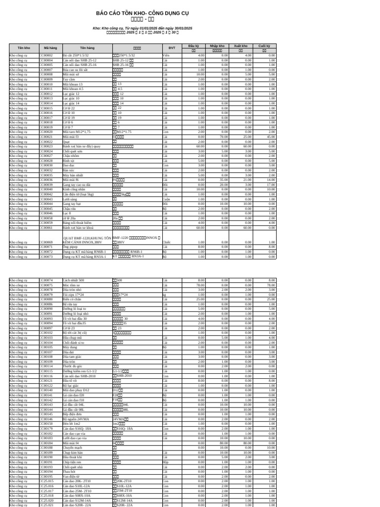 Báo Cáo T N Kho Công D NG C Tháng 1 | PDF