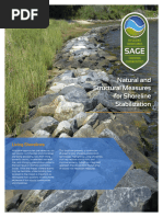 Coastal Management: Hard vs. Soft Engineering | PDF | Coast | Beach