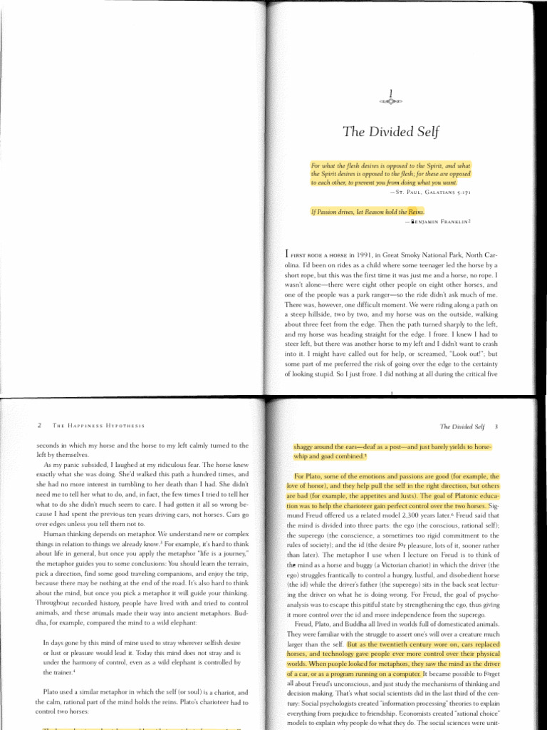 Happiness Hypothesis Chapter 1 | PDF | Limbic System | Brain