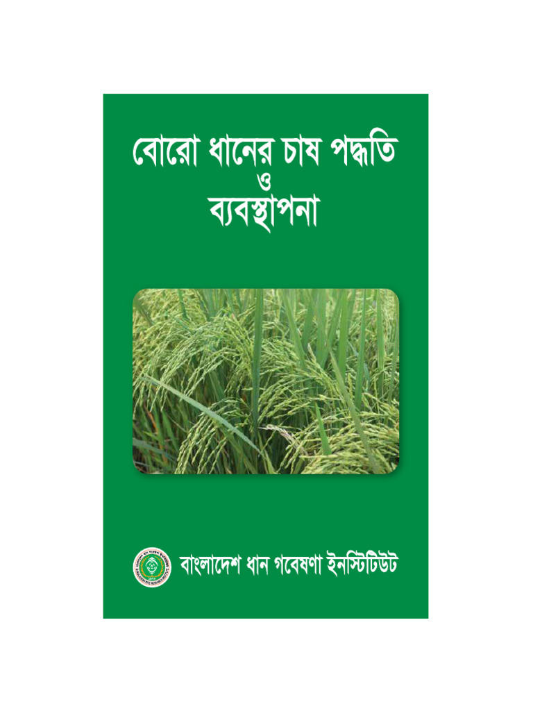 Boro Rice C | PDF