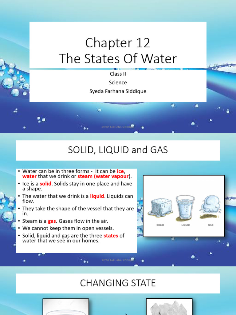 Science 1 | PDF