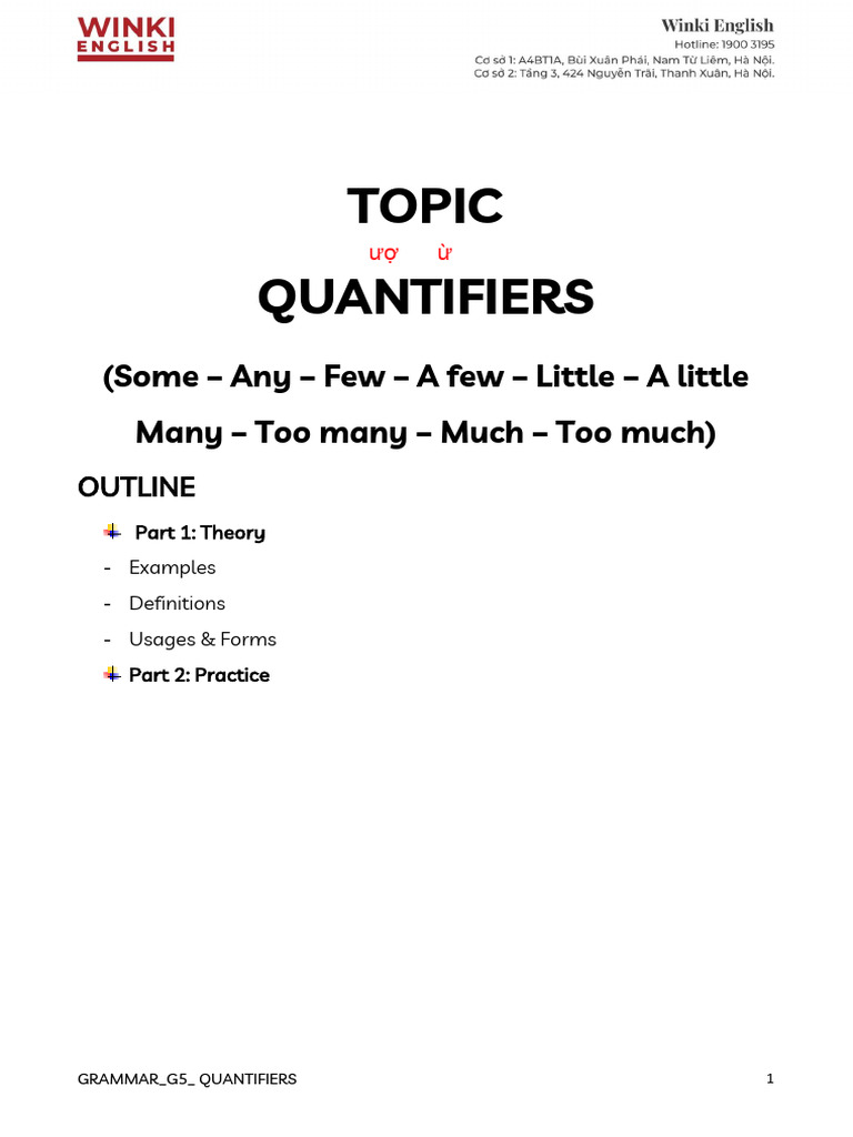 Topic 16 - Some Any A Few Few A Little Little Many Too Many Much Too ...