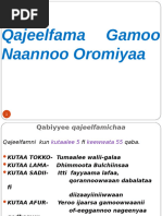 Qajeelfama Bulchiinsa Humna Namaa | PDF