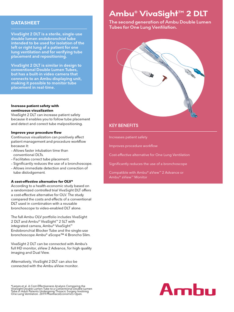 IE VivaSight 2 DLT Datasheet - V2 | PDF