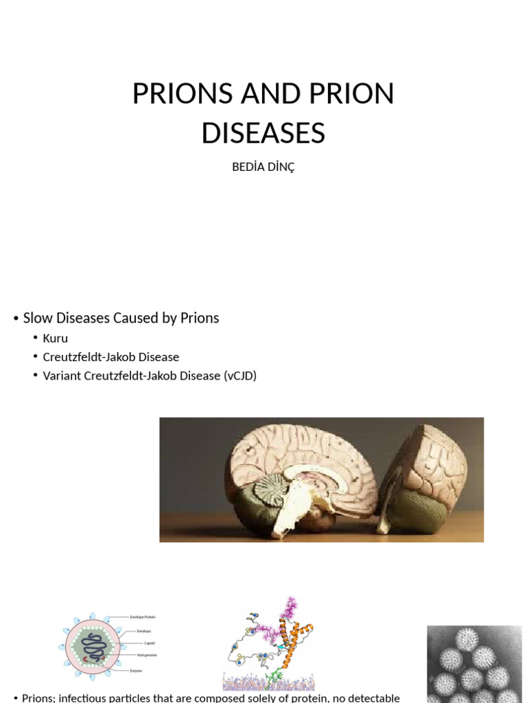 PRIONS - and PRION DISEASES CLASS 1 2024-25 | PDF | Medical Specialties ...