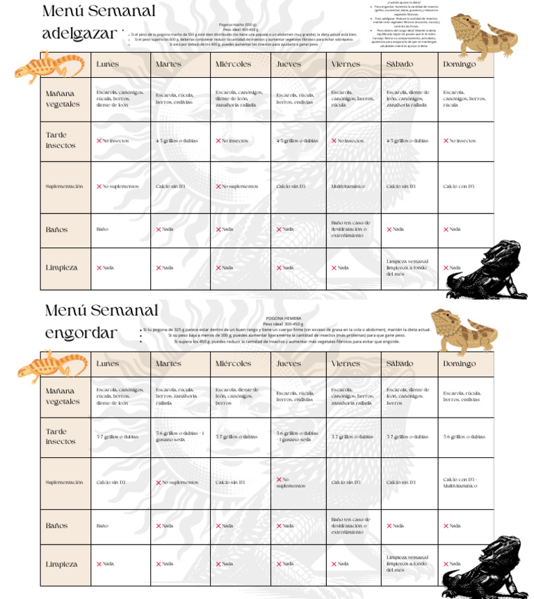 Calendario Menú Semanal Minimalista en Blanco y Negro | PDF