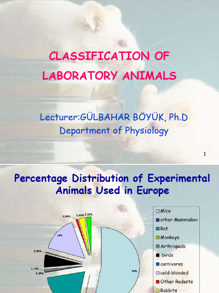 CLASSIFICATION OF LABORATORY ANIMALS and Ethics | PDF | Animal Testing ...