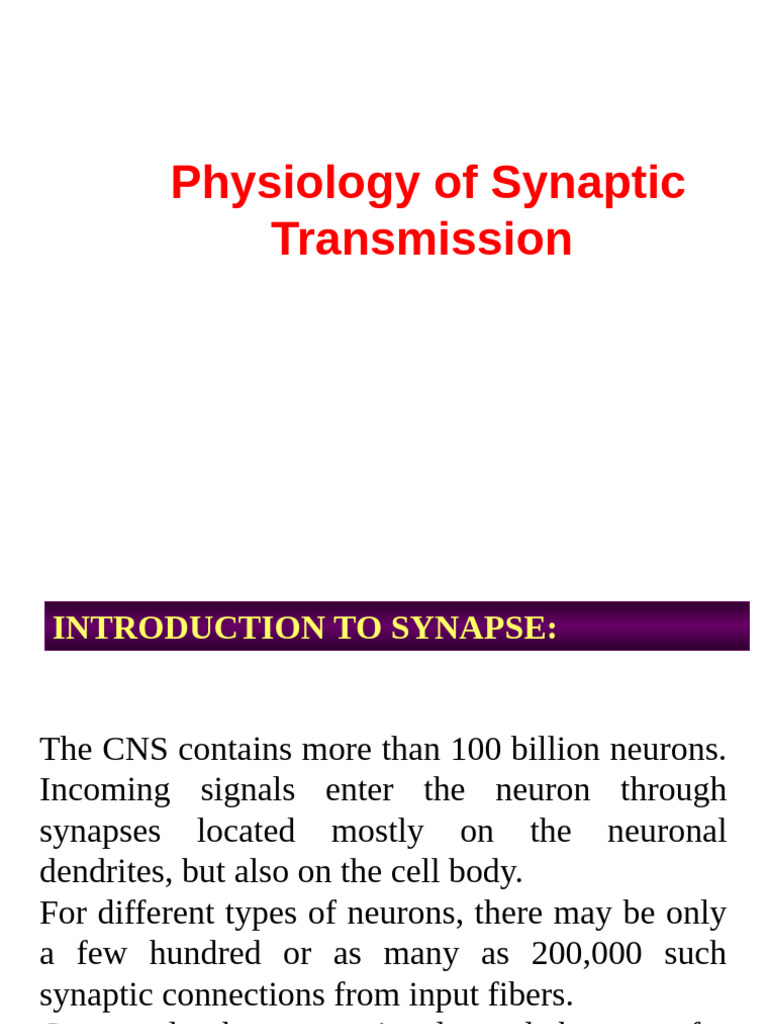Synaptic Transmission Physiology | PDF | Chemical Synapse | Synapse
