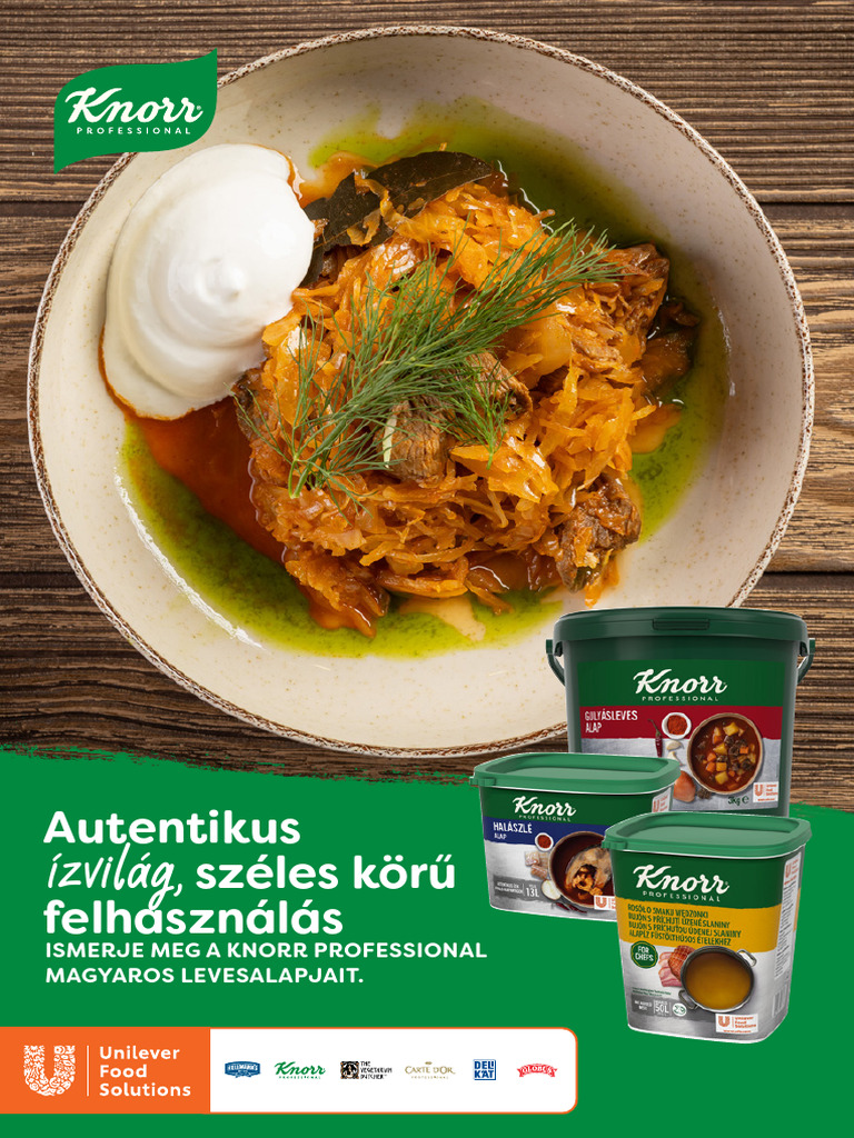 Knorr Professional Bouillon Receptek | PDF