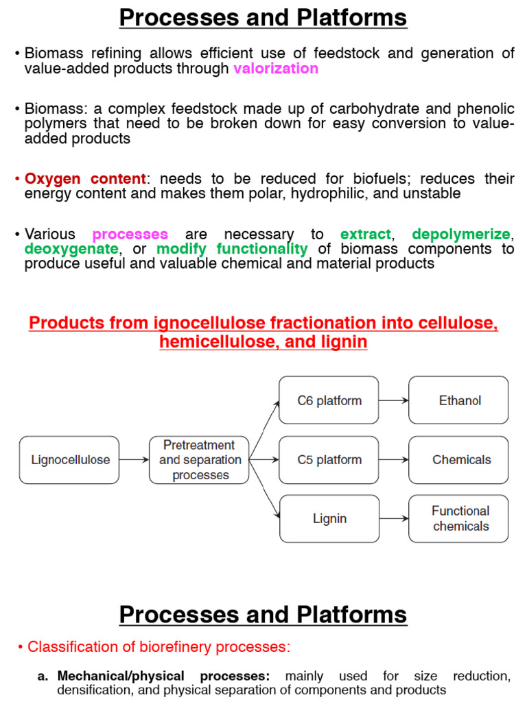 Biomass Refining Processes and Platforms | PDF | Biofuel | Biorefinery