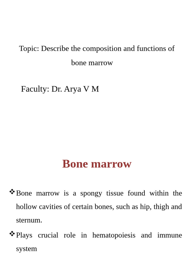 Bone Marrow | PDF