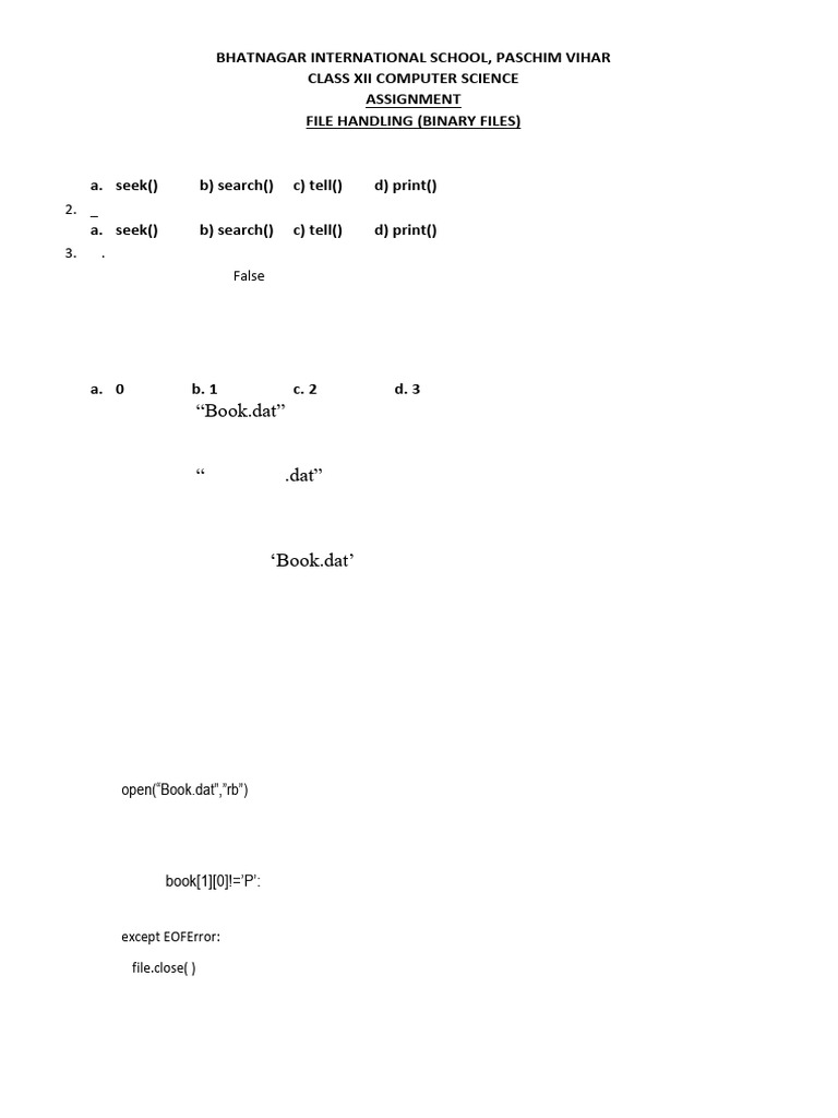 Binary File Handling Assignment 2024 25 Pdf Pointer Computer Programming Computer File 