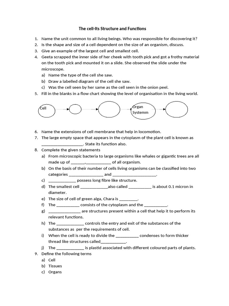 Class-8 Cells Worksheet | PDF | Cell (Biology) | Organelle