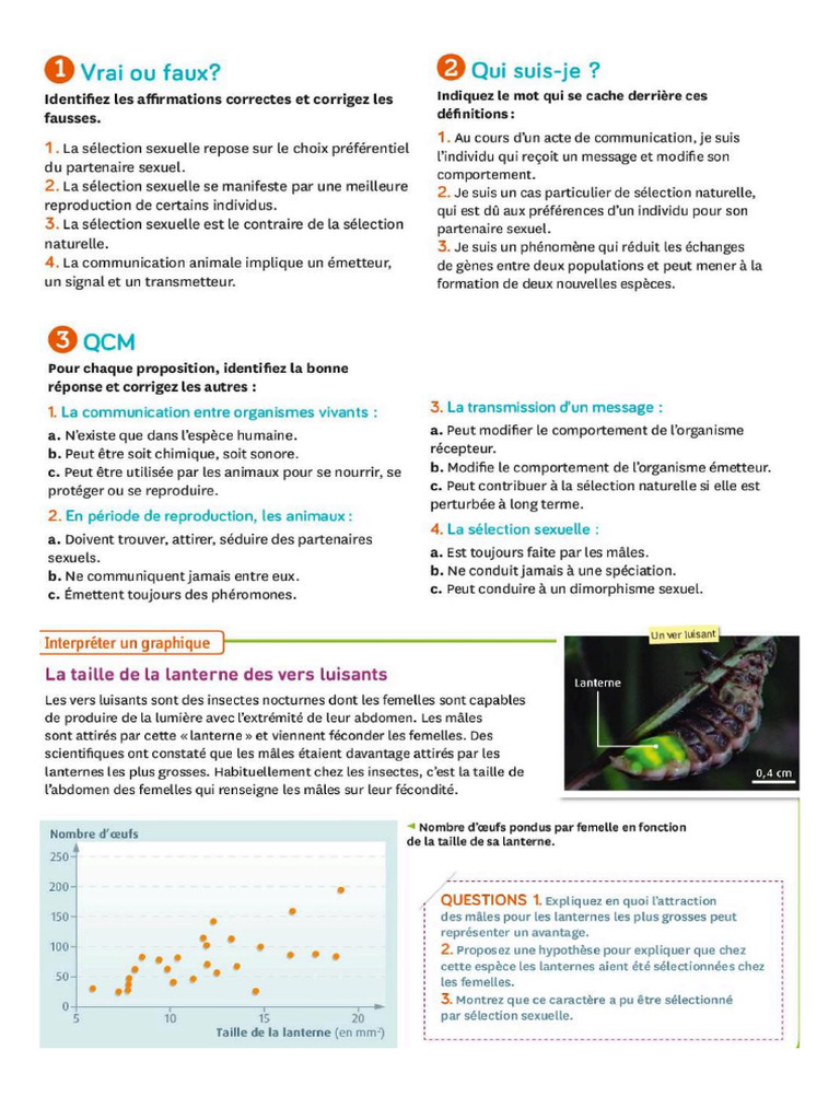 Revision - 2nde SVT | PDF