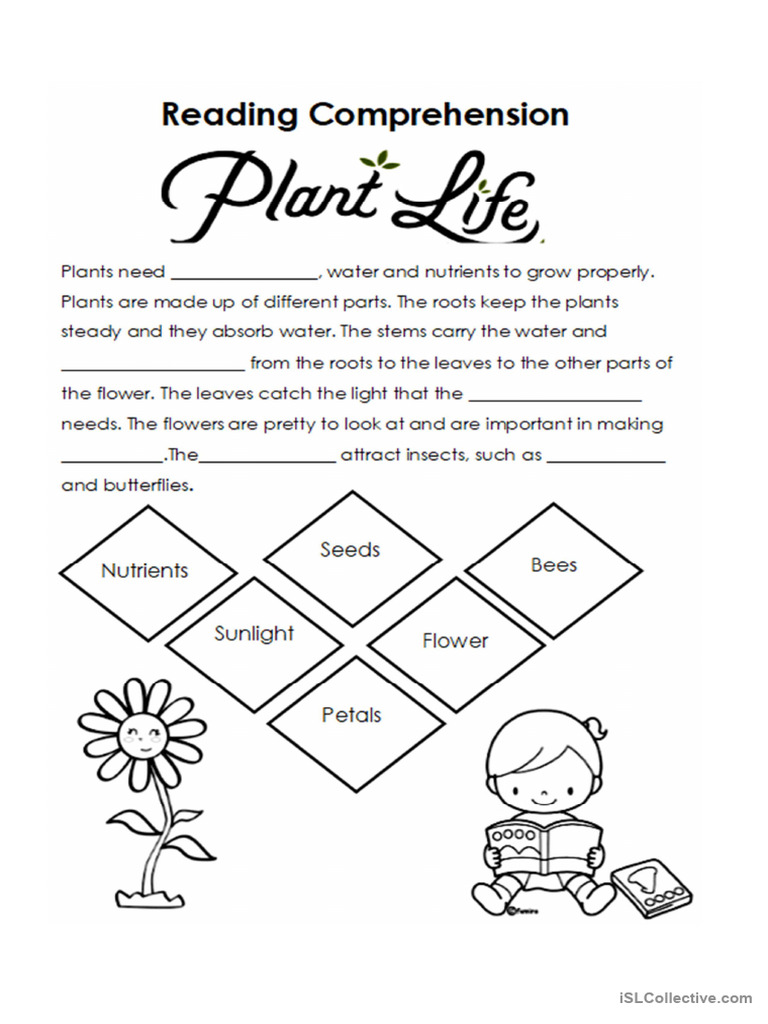 Reading About Plants | PDF