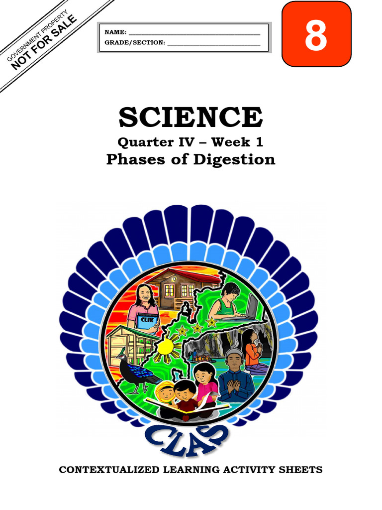 Science8 - q4 - CLAS1 - Phases of Digestion - v5 - Carissa Calalin | PDF | Digestion | Human ...