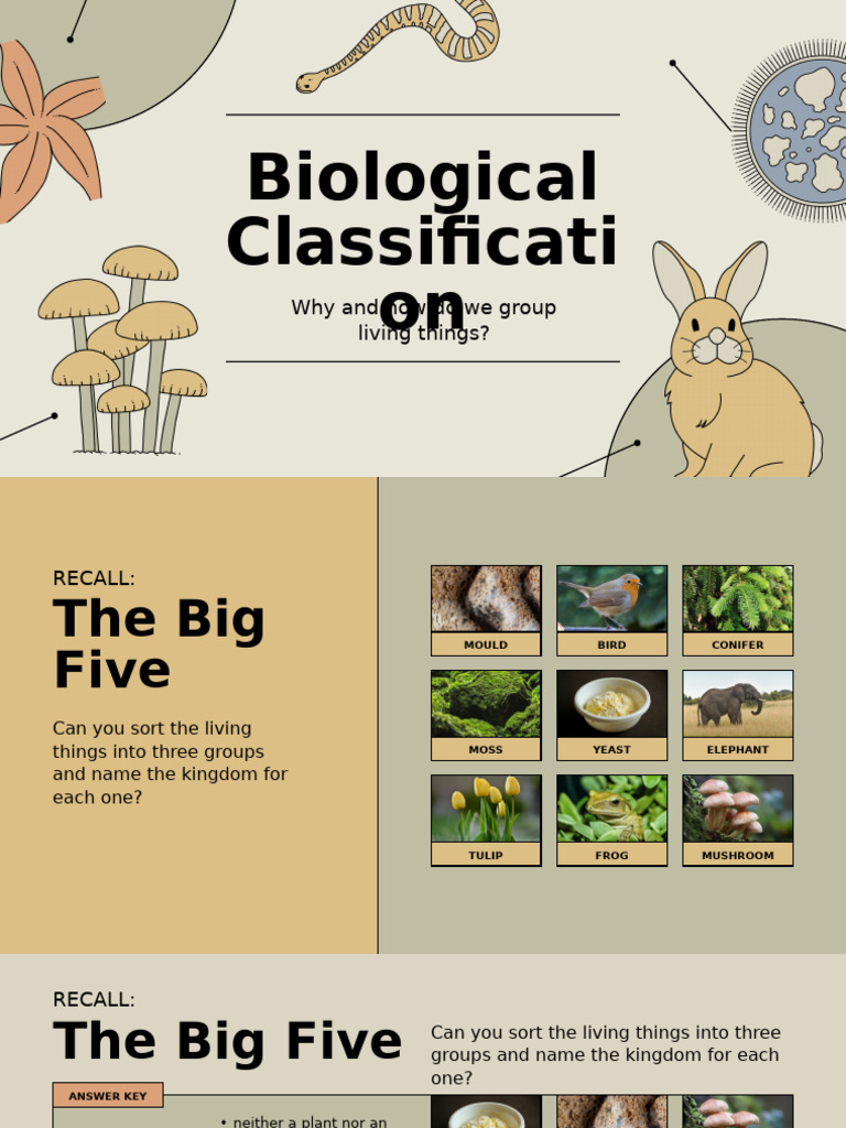 Biological Classification | PDF | Life | Mammals