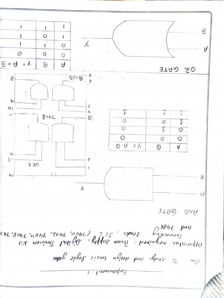 Bee Experiment No 3 | PDF