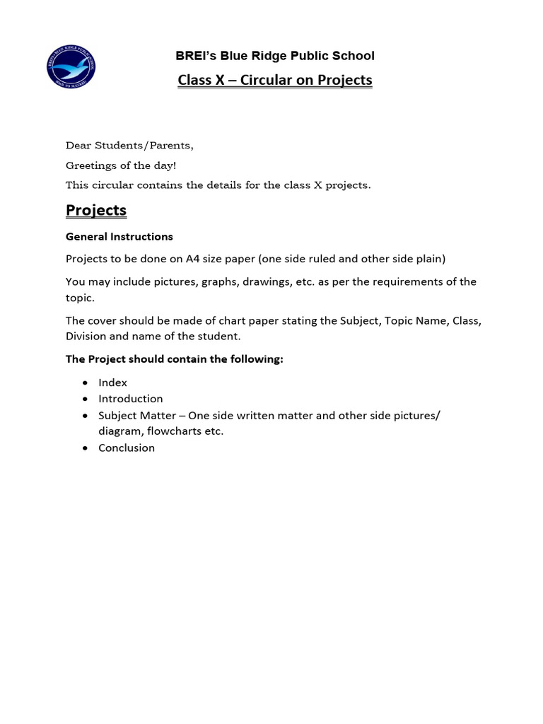 Class X - Project Guidelines | PDF